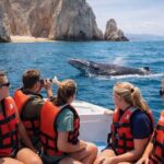 2-Hour Shore Excursion | Arch, Lovers Beach & Whale Encounters - Practical Details and What to Expect