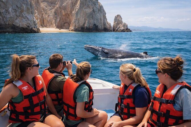 2-Hour Shore Excursion | Arch, Lovers Beach & Whale Encounters - Practical Details and What to Expect