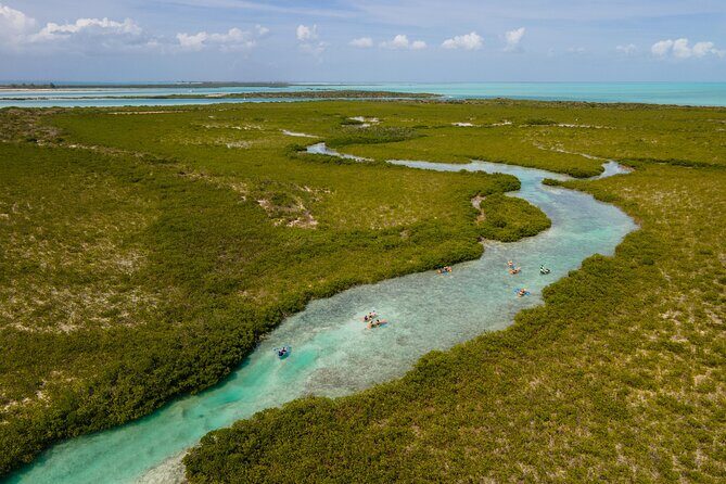 2 Hours Clear Kayaking Activity on Mangrove Cay - What to Expect on the Tour