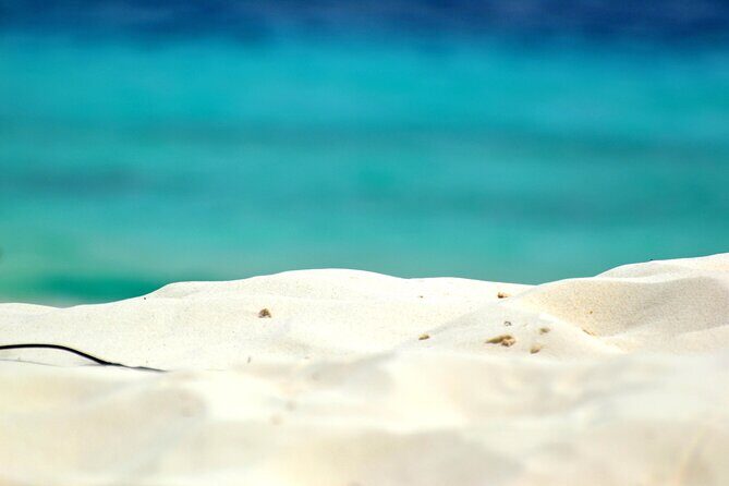 2 Hours Private Chauffeur Driven Car Minibus for 1 to 12 persons - A Close Look at the Itinerary and Experience