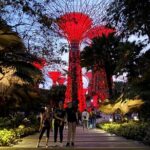 2 Hours Sunset Bike Tour and Garden Rhapsody Show - What You Can Expect During the Tour