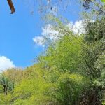 2 Hours Trekking Waterfall Tour in Tobago - Authentic Experiences and Well-Reviewed Guides