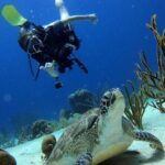 2 tank guided dive House Reef (Pierbaai Reef and Car Pile) - What the Reviews Tell Us