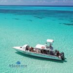 2 Tank Morning Cozumel Dives for Certified Divers - The Ideal Candidate