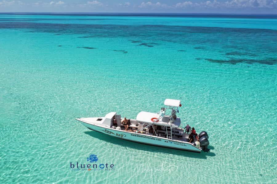 2 Tank Morning Cozumel Dives for Certified Divers - The Ideal Candidate