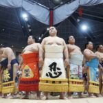 2025 1 Day Winter Sumo Official Provincial Tour at Odawara - Who Should Consider This Tour?