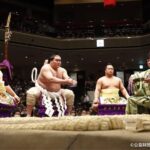 2026 Spring Sumo Tour - Regional Exhibition Viewing - Practical Considerations and Tips