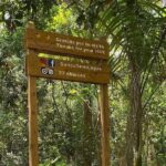 27 Waterfalls Adventure Private Tour in Charcos de Damajagua - The Itinerary: What to Expect