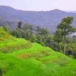 2days 1night : Trekking with Karen people and Doi Inthanon - A Closer Look at the Itinerary and What to Expect