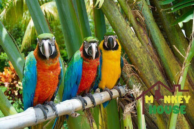 2x1: City Tour & Monkey Encounter tour combo Puerto plata - Final Thoughts