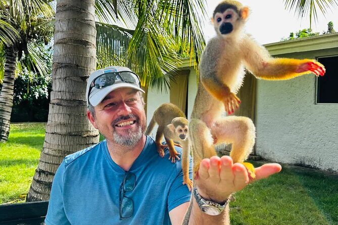 2X1: MonkeyLand plus horseback riding beach in Puerto Plata - The Itinerary: What to Expect