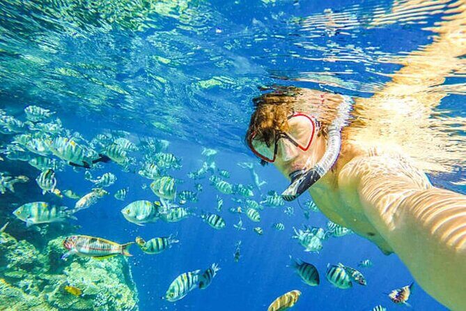 2X1: Snorkeling Tour tour plus MonkeyLand Puerto Plata - Authentic Experiences and Traveler Expectations