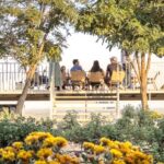 3-Day 2-Nignt Wine Taste Through China's Wine Region of Ningxia - The Bottom Line