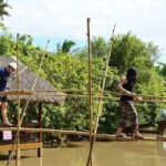 3-Day Guided Tour with Stay and Discovery in Mekong Delta - The Practicalities: What You Need to Know