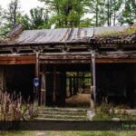 3-Day Horse Trekking Tour in Mongolia  Terelj National Park - What’s Included and Practical Details