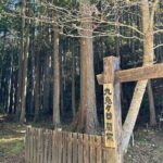 3 Day Kumano Kodo Pilgrimage Route Walking Tour from Osaka - The Sum Up