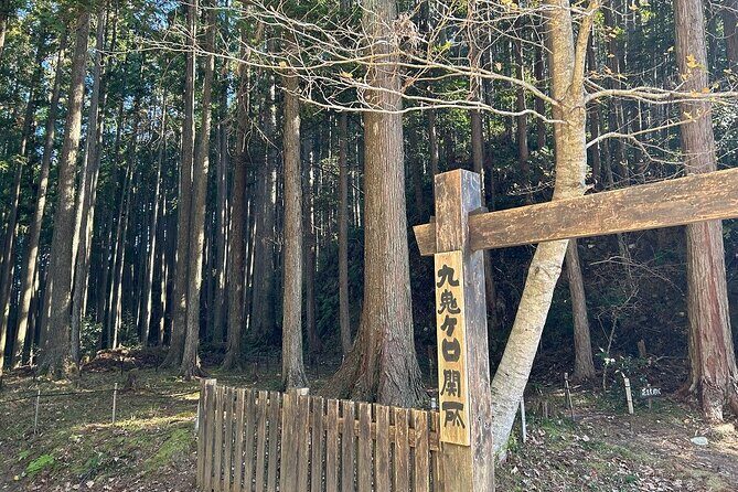 3 Day Kumano Kodo Pilgrimage Route Walking Tour from Osaka - The Sum Up