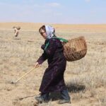 3 Day Nomadic Real Life Experience - Day 3: Saying Farewell to the Steppe