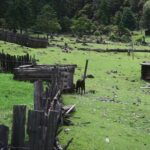 3-Day Private Hike from Haba Village to Tiger Leaping Gorge - The Value of This Experience