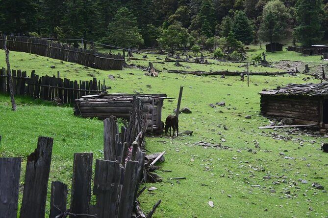 3-Day Private Hike from Haba Village to Tiger Leaping Gorge - The Value of This Experience