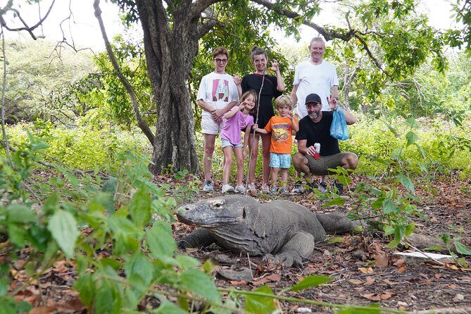 3-Day Sailing Adventure Around Komodo National Park - The Value in the Experience