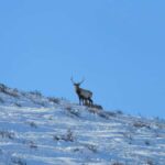 3-Day Terelj, Chinggis Khaan Statue and Hustai National Park - Detailed Breakdown of the Itinerary