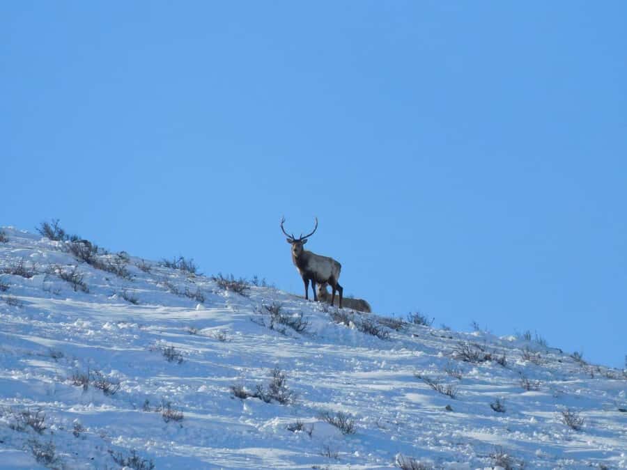 3-Day Terelj, Chinggis Khaan Statue and Hustai National Park - Detailed Breakdown of the Itinerary