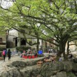 3-Day Trip to Hezhou and Huangyao in Guangxi by Bullet Train from Hong Kong - What’s Included and What’s Not