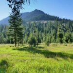 3 Day VIP Small Group Tour of Yellowstone and Grand Teton - How the Experience Comes Together