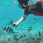 3 Days and 2 Nights Tioman Tour Package from Singapore - Snorkeling and Marine Life Encounters