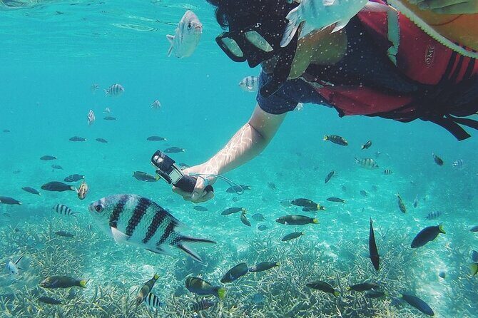 3 Days and 2 Nights Tioman Tour Package from Singapore - Snorkeling and Marine Life Encounters