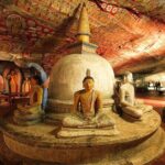 3 Days Cultural Triangle Sri Lanka Private Tour - Day 2: Royal Ruins, Sigiriya’s Climb, and Wild Encounters
