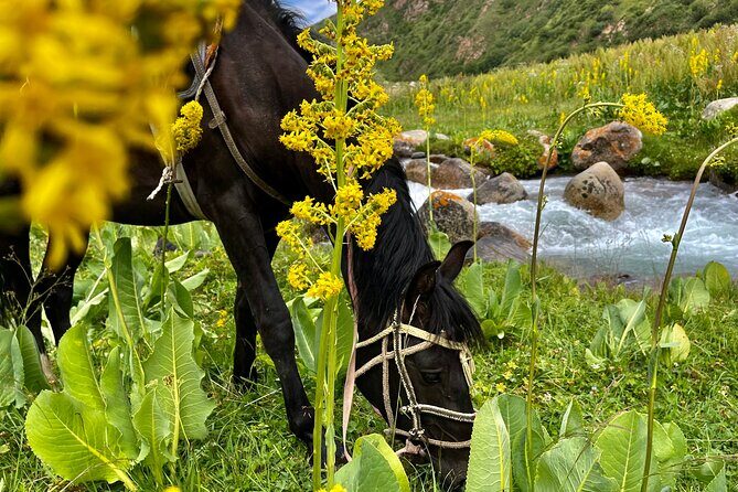 3 Days Horseback Riding to Song Kol Lake from Kyzart Village - Price & Value Analysis