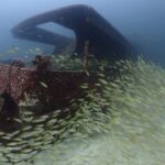 3 Fun Dives for Certified diver at Racha Yai/Noi - The Itinerary Breakdown