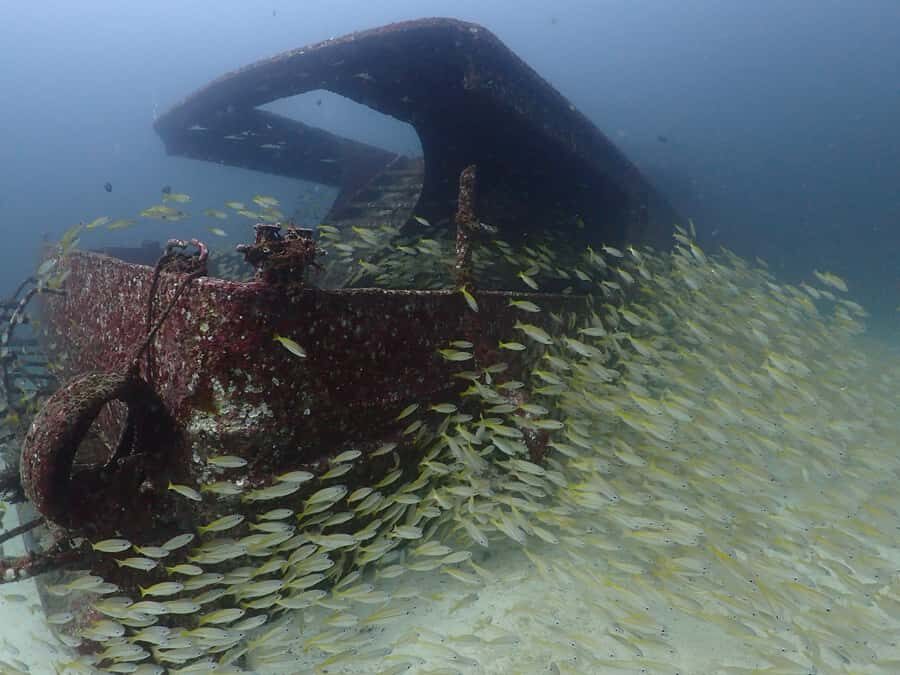 3 Fun Dives for Certified diver at Racha Yai/Noi - The Itinerary Breakdown
