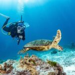 3 Fun Dives in Phi Phi islands for Certified Divers - The Practical Details