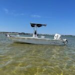 3 Hour Dolphin Tour - Navigating the Itinerary: What to Expect