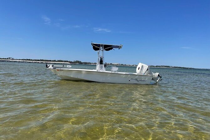 3 Hour Dolphin Tour - Navigating the Itinerary: What to Expect