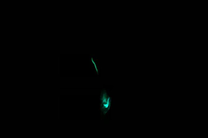 3 hour Glow Worm Sunset Cruise from Providenciales - Who Should Consider This Tour?