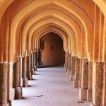 3-Hour Mehrauli Archaeological Park Ruins Walking Tour Delhi - Who Should Consider This Tour?
