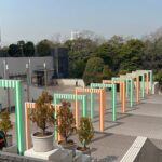 3-Hour Odaiba Scenic Photo Walking Tour - Authenticity and Value