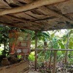 3-Hour Panoramic Tour of Punta Cana with Artisan Market - Practical Considerations