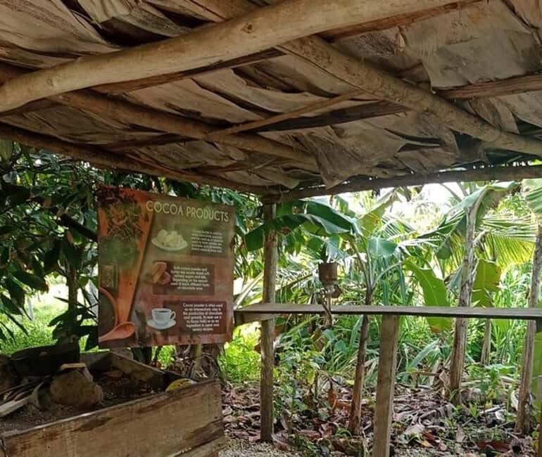 3-Hour Panoramic Tour of Punta Cana with Artisan Market - Practical Considerations