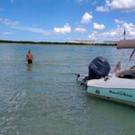 3-Hour Private Clearwater Beach Adventure  Dolphins & Sandbars - How the Tour Feels and What Travelers Say