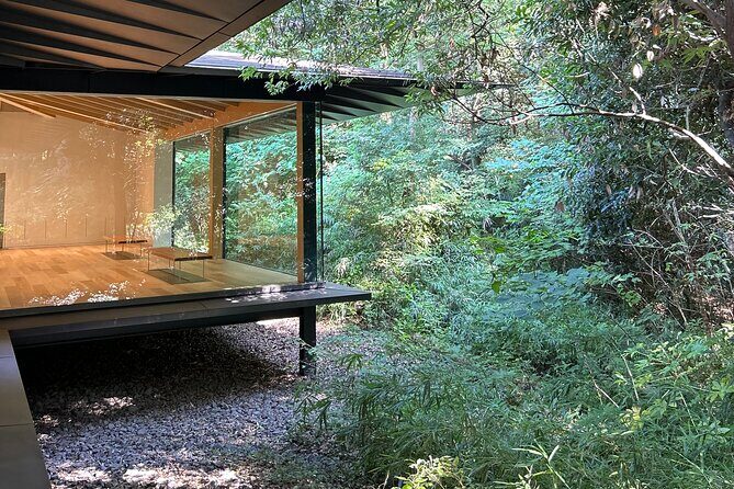 3 Hour Private Tokyo Meiji Jingu Shrine Wellness Tour - Final Thoughts: Who Will Love This Tour?