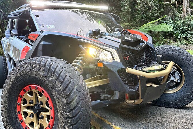 3-Hour Private UTV Tour in San Juan - The Sum Up