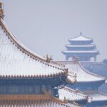 3 Hours Beijing Palace Museum Guided Tour English or Chinese - The Logistics and Group Experience