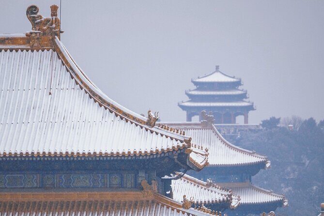3 Hours Beijing Palace Museum Guided Tour English or Chinese - The Logistics and Group Experience