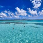 3-Hours Eye-Opening Stingray City Antigua - Transfer R/T included - What’s Included and What’s Not?