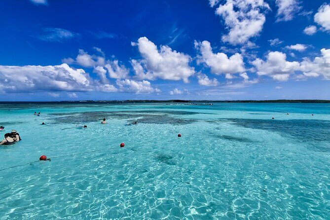 3-Hours Eye-Opening Stingray City Antigua - Transfer R/T included - What’s Included and What’s Not?